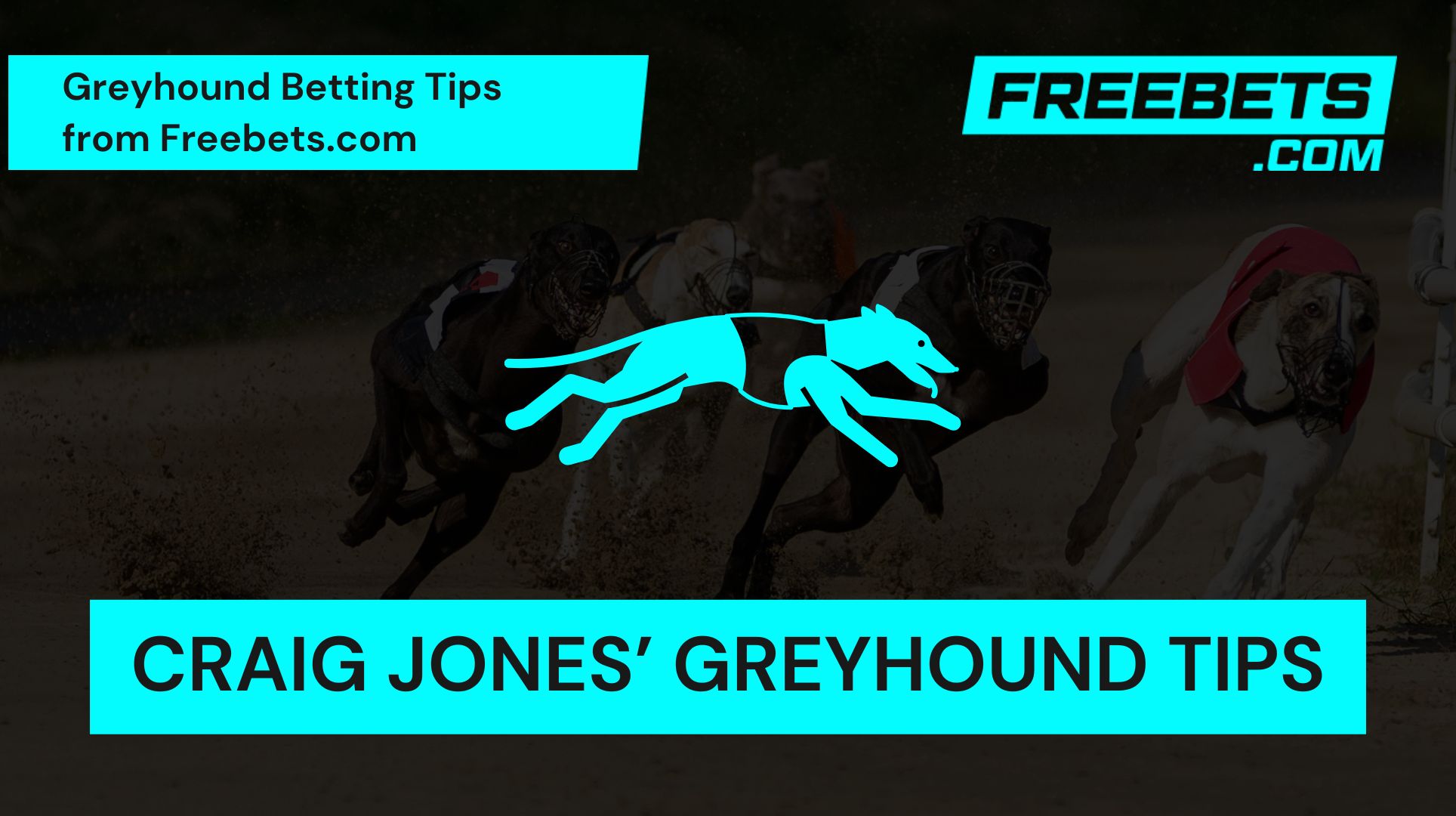 Greyhound Tips & Daily Predictions
