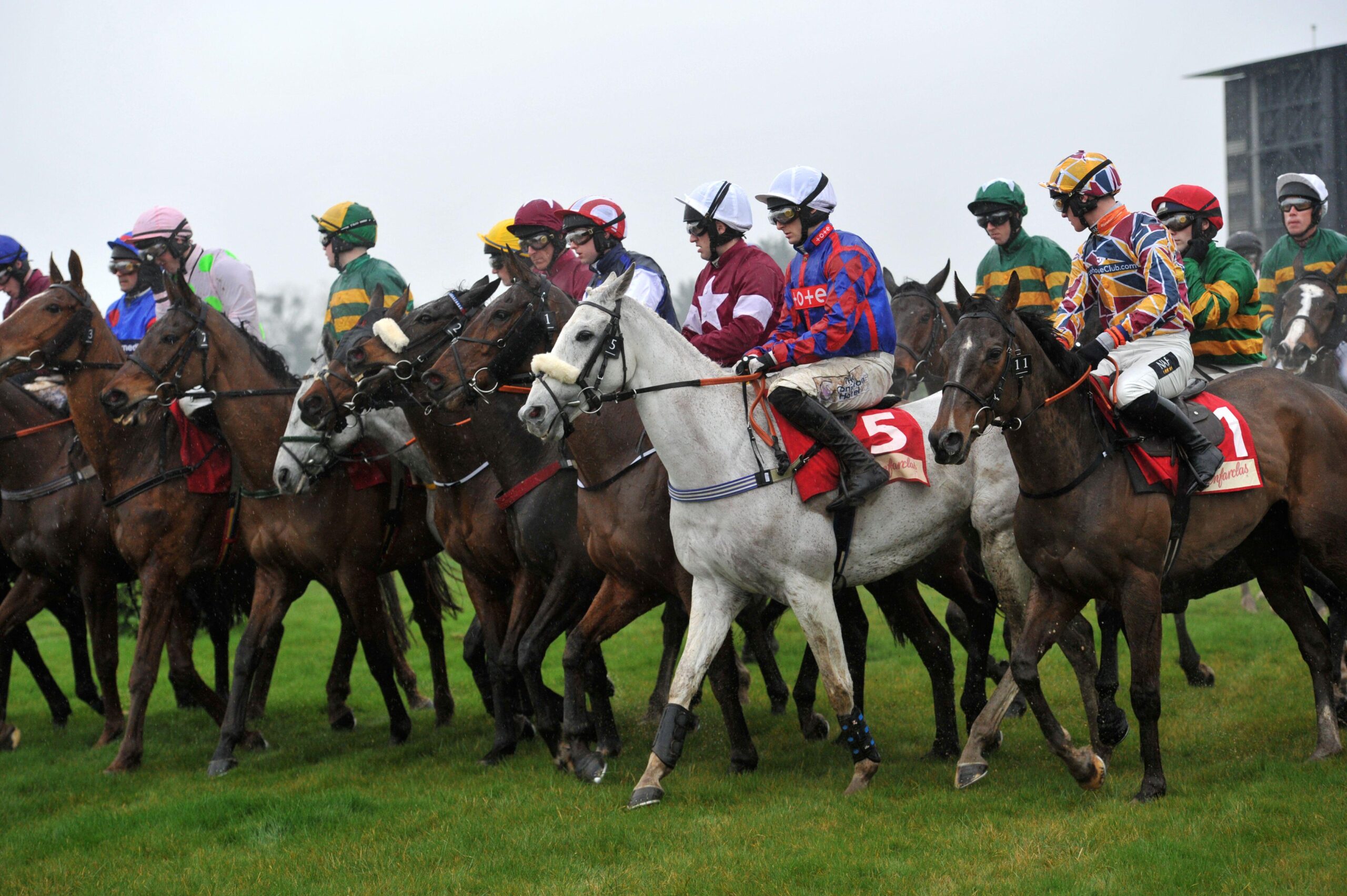 Each Way Bet Calculator: Check Your Returns for Free!