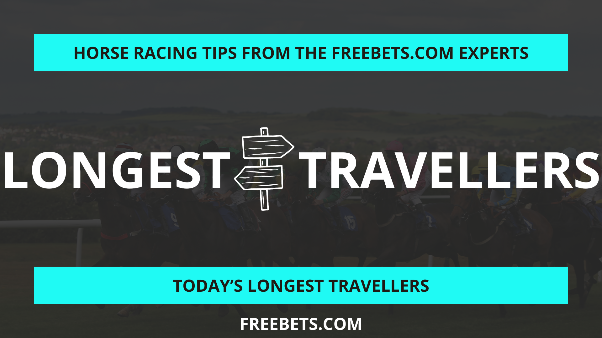 Horse Racing Market Movers - Today’s Best Backed Horses